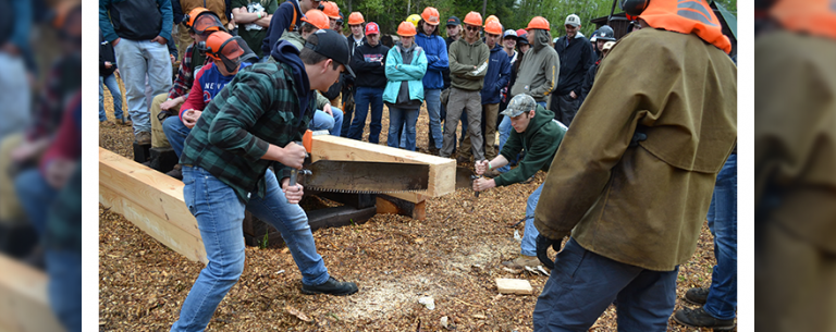 Champlain Valley Educational Services